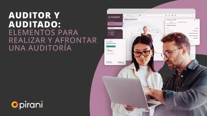Auditor y auditado: elementos para realizar y afrontar una auditoría